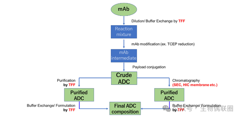 【抗体偶联药物】基于不同偶联技术的偶联工艺流程简介